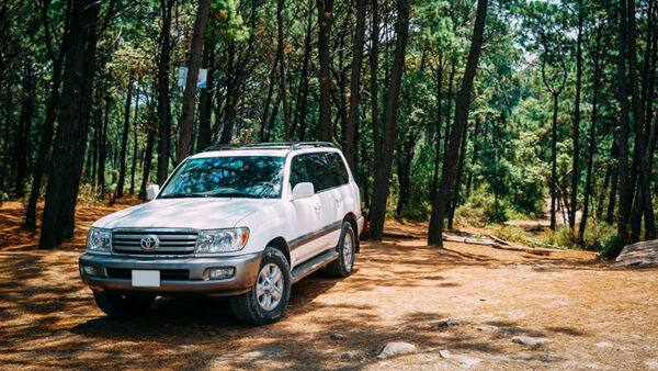 Toyota Land Cruiser Engine Models: Specs & Reliability